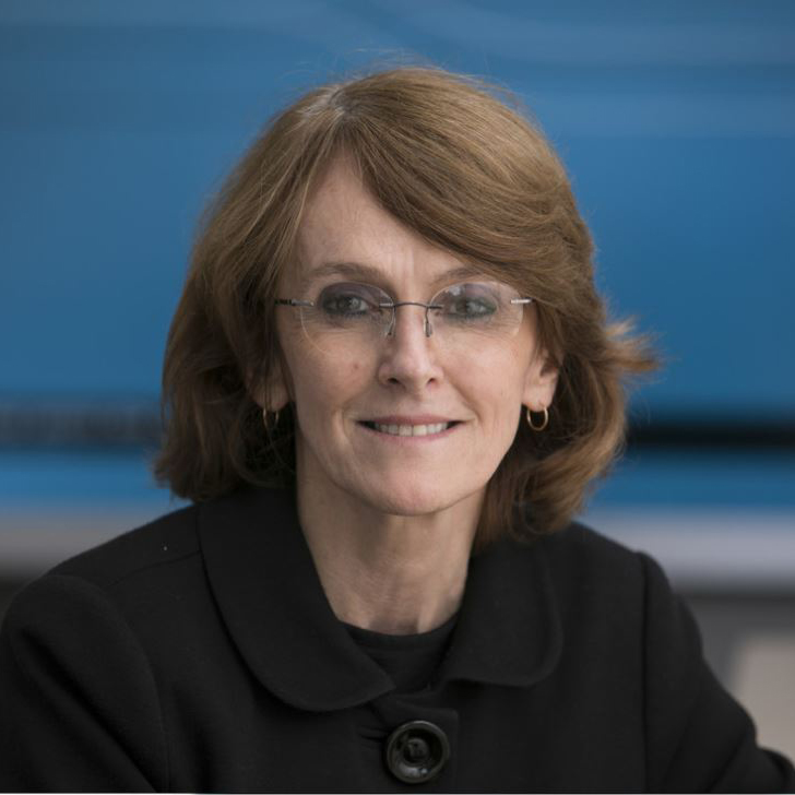 Board - Australian Institute for Bioengineering and Nanotechnology ...