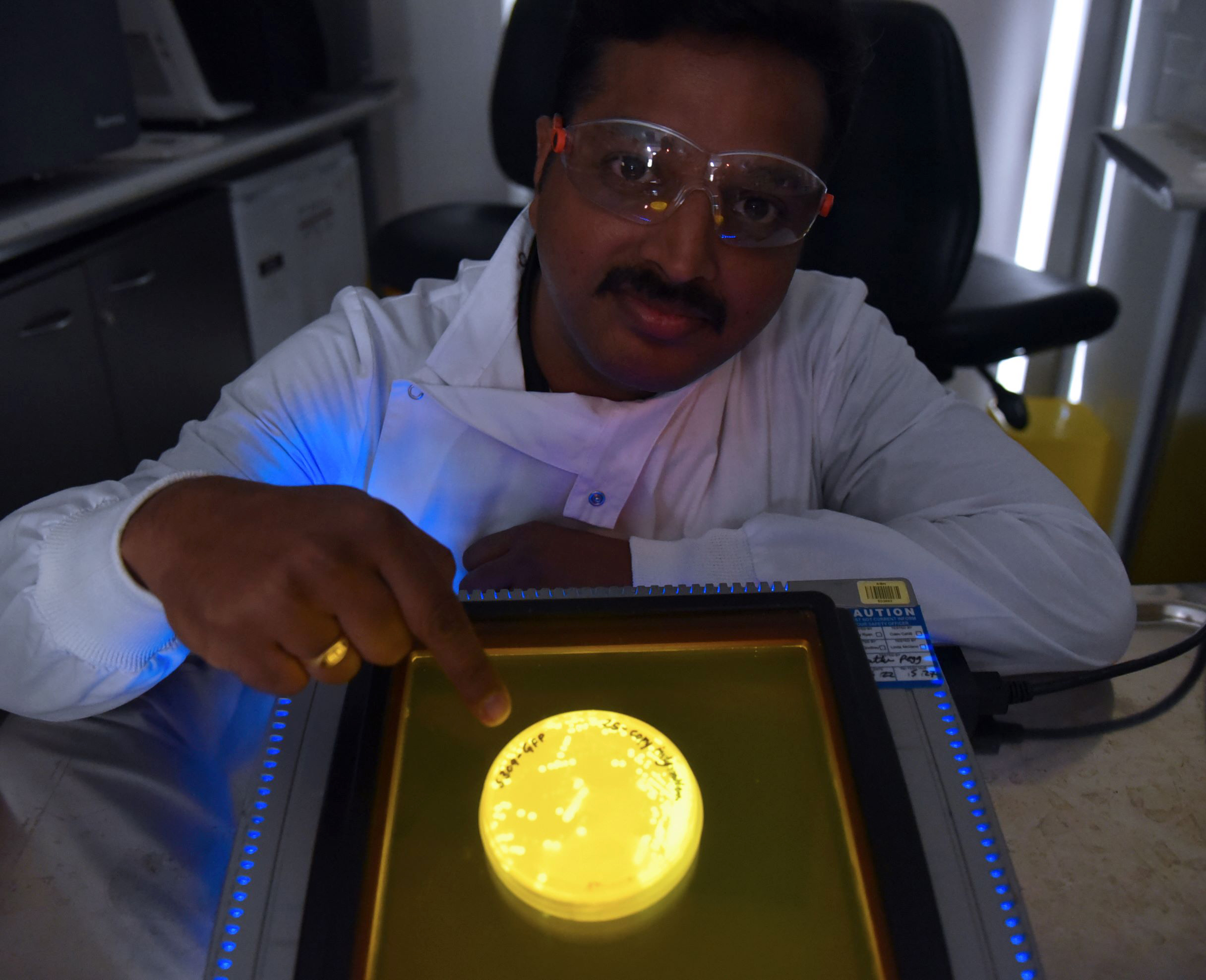 Yeast 'sensor dust' makes a cheap, fast virus test - Australian ...