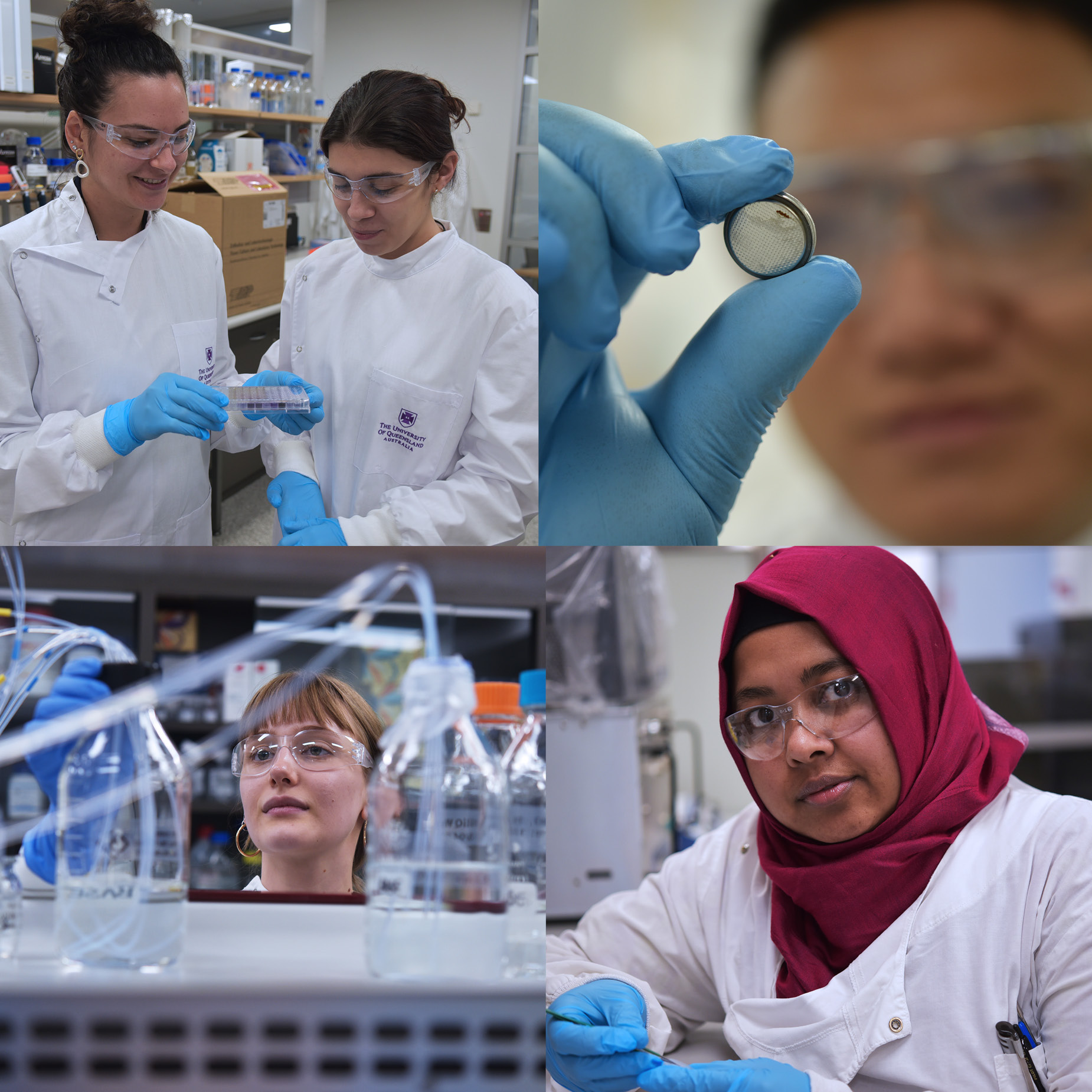 From tiny science, big things grow: Setting the scene for massive 2024 at the AIBN - Australian ...